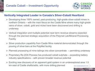 Canada cobalt-presentation-january-10-2020 | PDF | Chemistry | Science