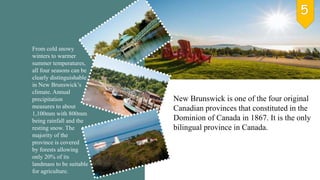 Immigration to Canada | PPTX