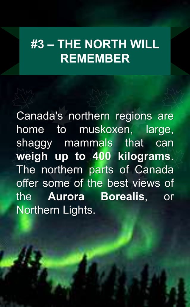 Canada Curiosities - Lesson 5 QR Code - WB4 (ENG - November 2023).pptx