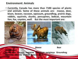 Canada introduction | PPTX