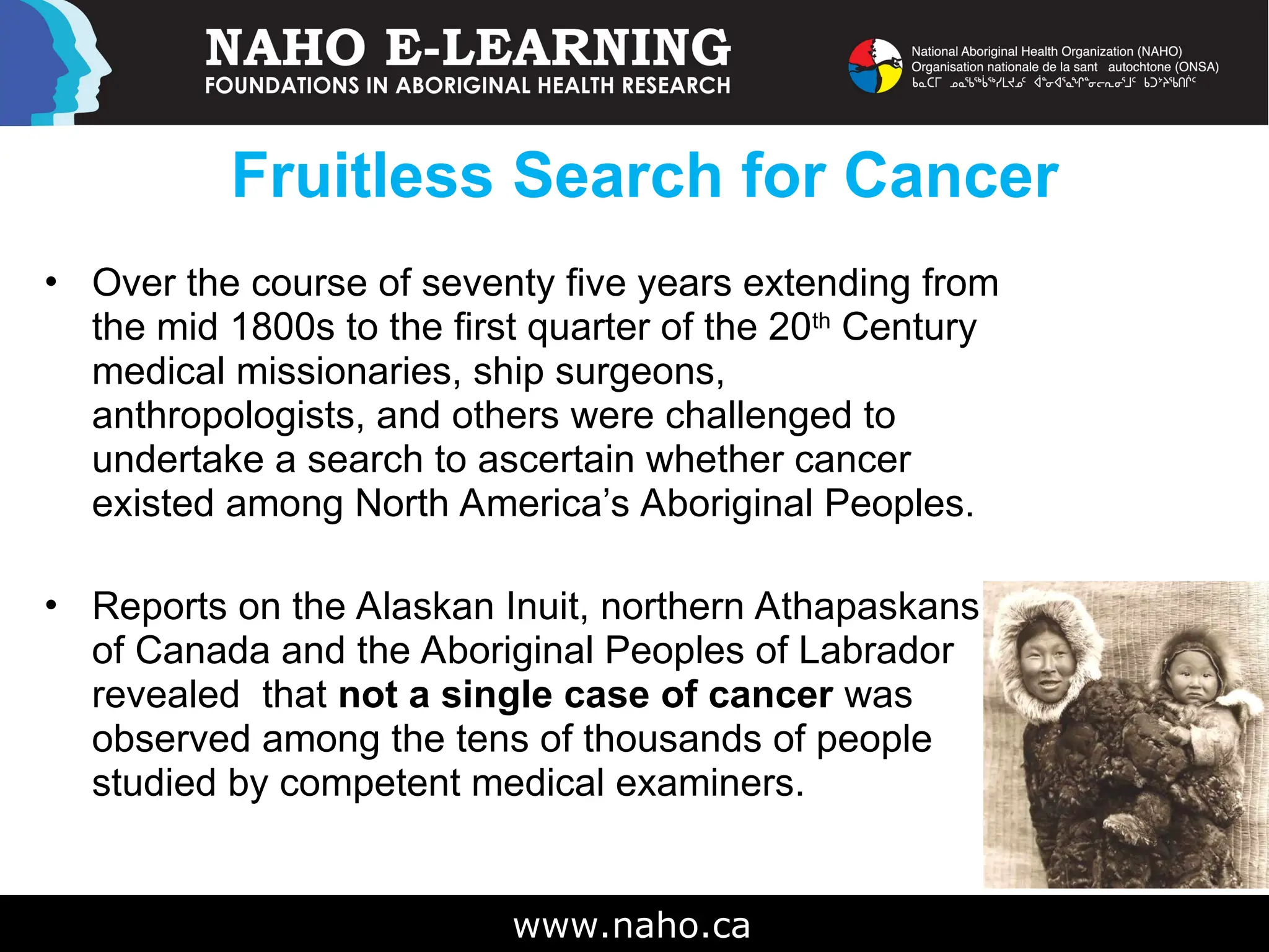 canadas-aboriginal-population-estimates-of-aboriginal4806.ppt