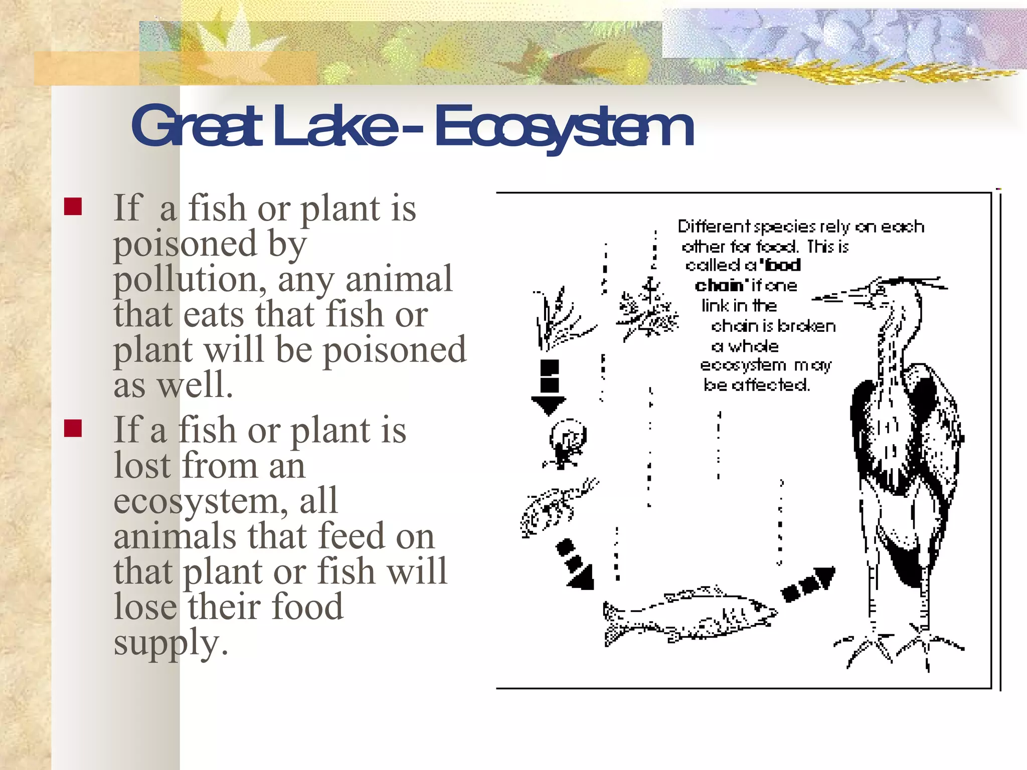 Canada's environmental issues | PPT