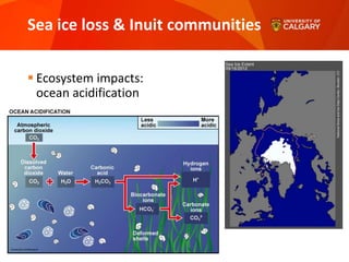 Climate change in Canada's Arctic: Impacts on Inuit communities and ...