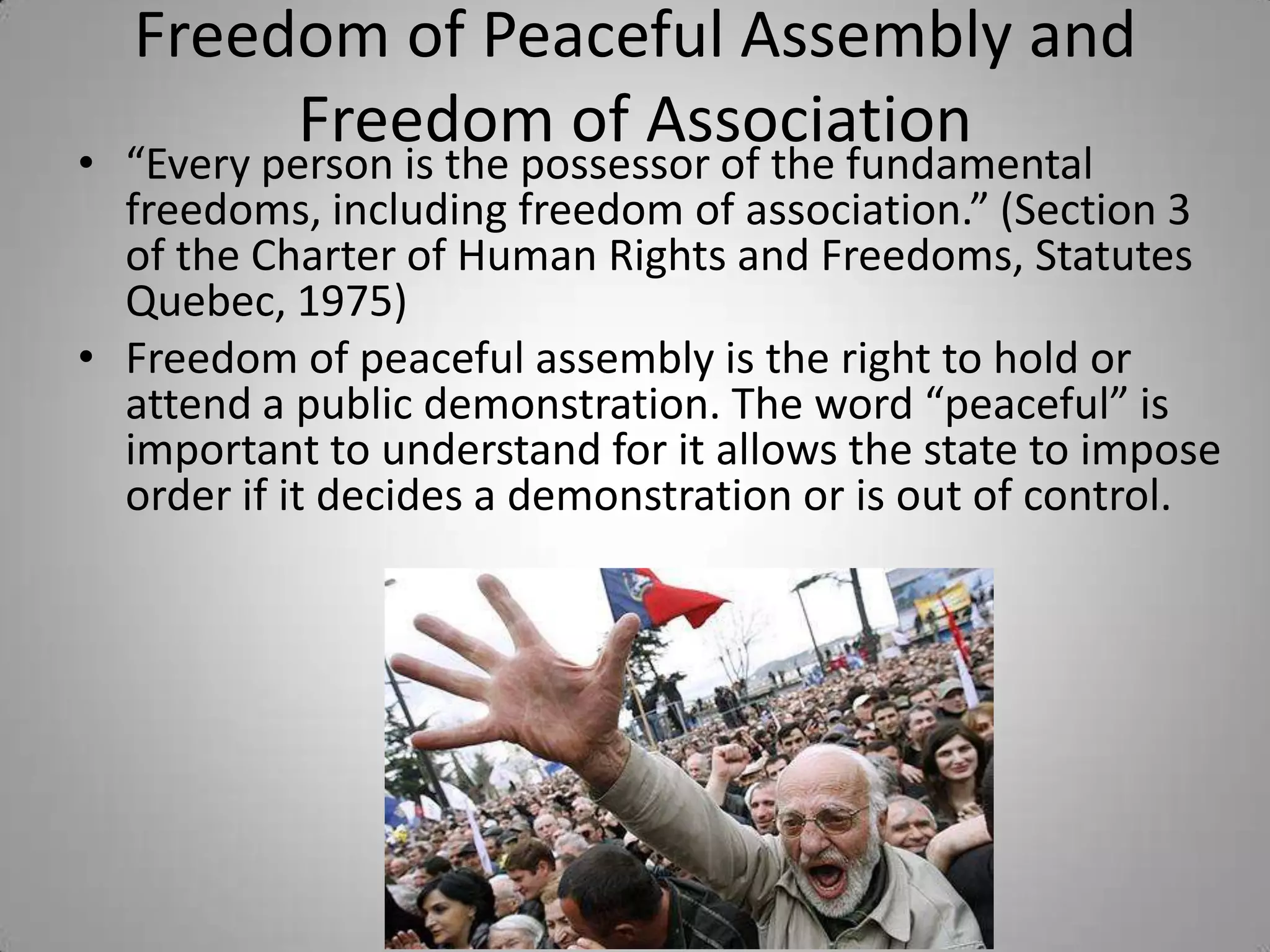 Canadian human rights and freedoms | PPTX