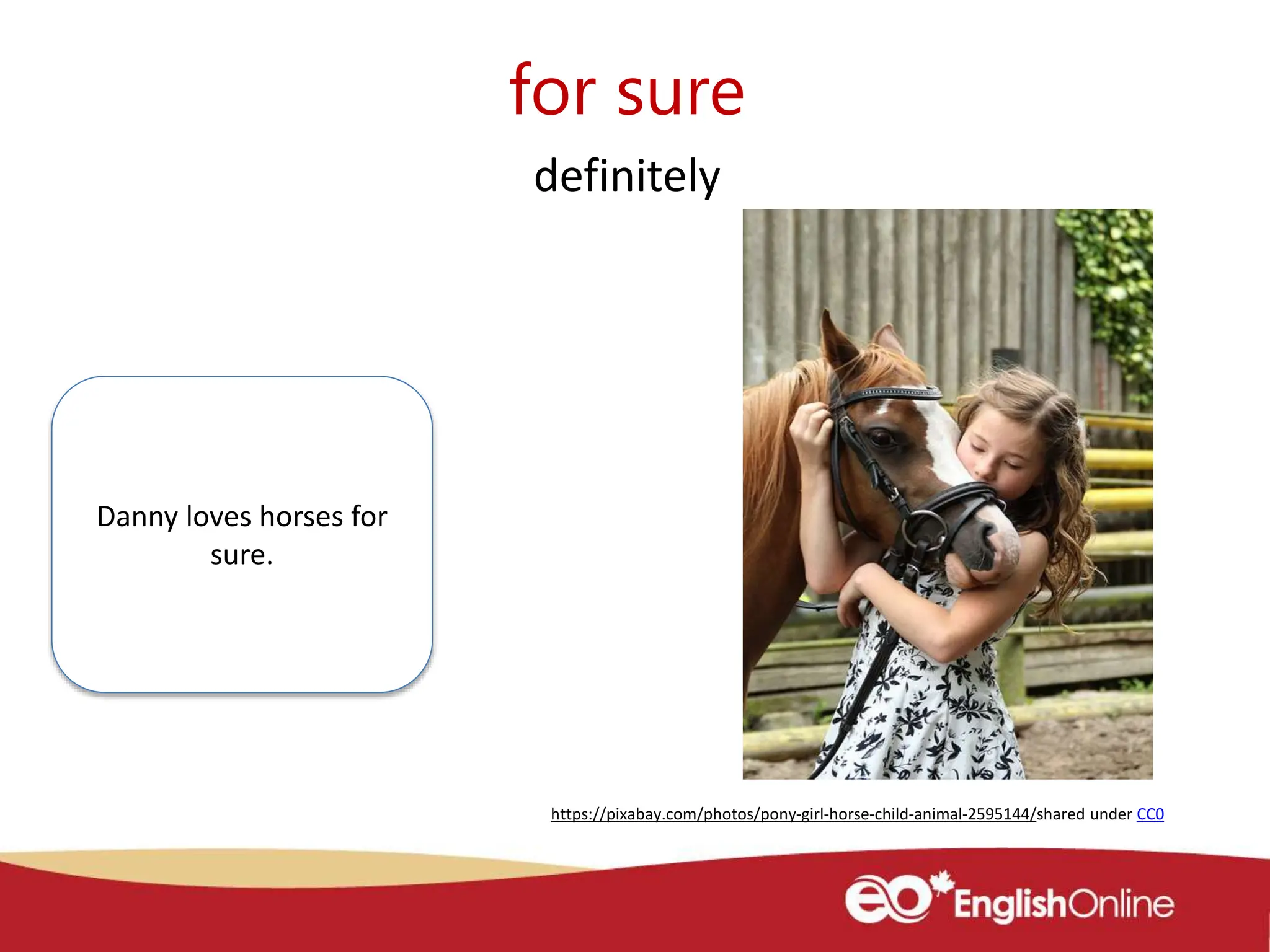 Canadianisms (Canadian Terms) - Canadian Idioms | PPTX