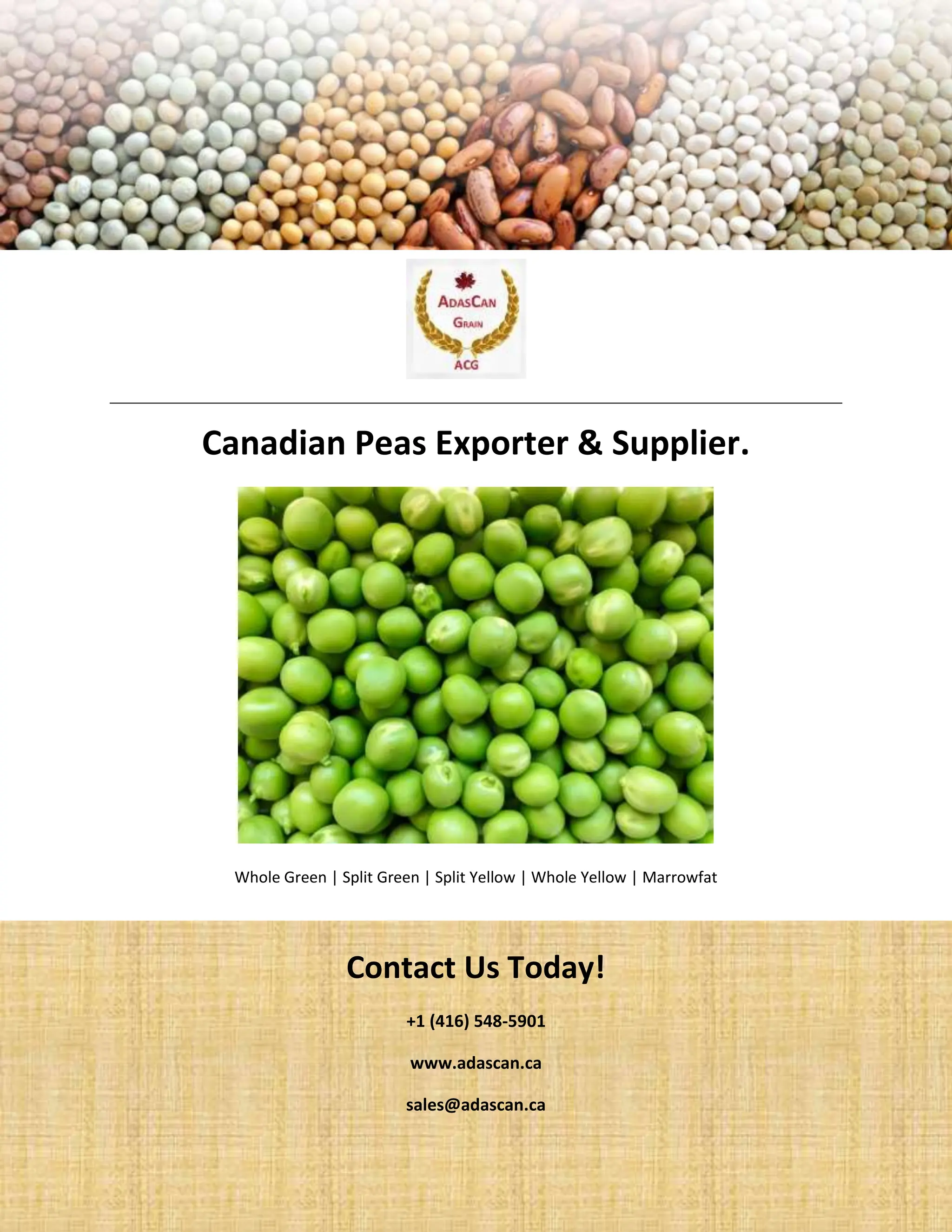Canadian Peas Exporter & Supplier | AdasCan Grain Corporation | PDF