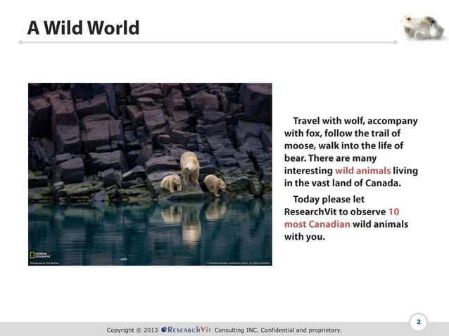 Canadian Wild Animals | PPTX | North America Travel | Travel Locations