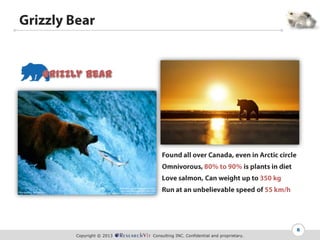 Canadian Wild Animals | PPTX