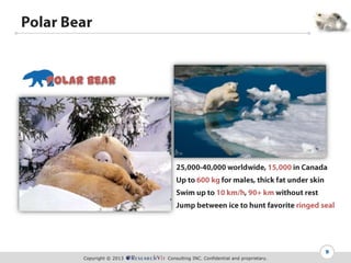 Canadian Wild Animals | PPTX