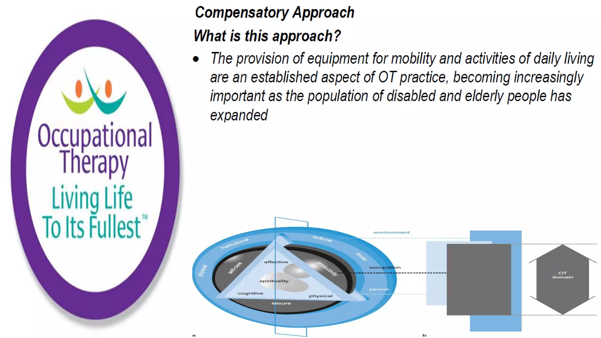 Canadian Model of Occupational Performance and Engagement Case Study | PPTX