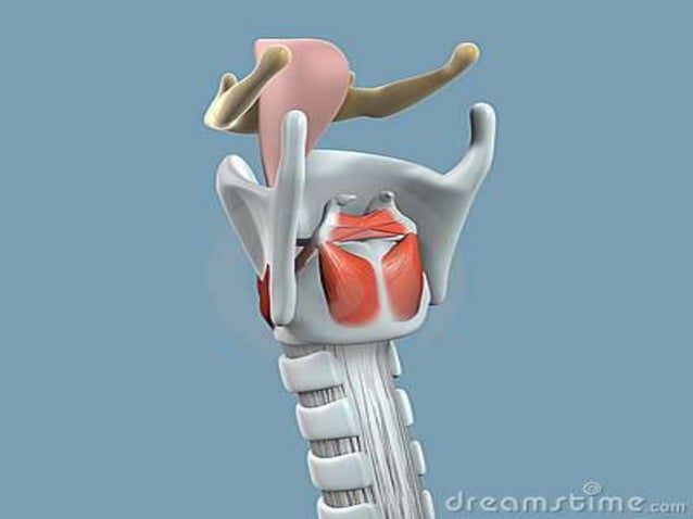 Canaer of larynx | PPTX
