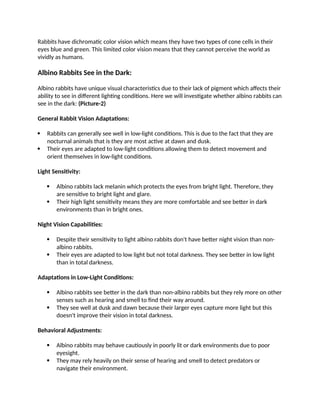 Can Albino Rabbits See: Basics of Rabbit Vision | PDF