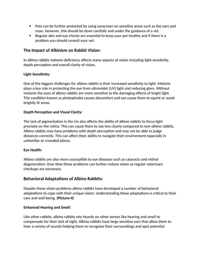 Can Albino Rabbits See: Basics of Rabbit Vision | PDF
