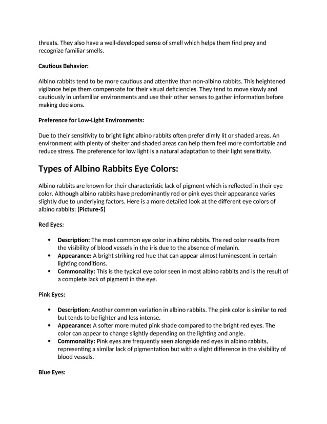Can Albino Rabbits See: Basics of Rabbit Vision | PDF