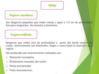 CANAL BLANDO- EPISIOTOMIA Y DESGARROS OBSTETRICOS | PPTX