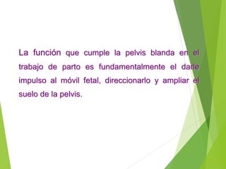CANAL BLANDO- EPISIOTOMIA Y DESGARROS OBSTETRICOS | PPTX