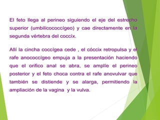 CANAL BLANDO- EPISIOTOMIA Y DESGARROS OBSTETRICOS | PPTX