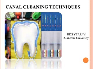 Canal cleaning techniques | PPT