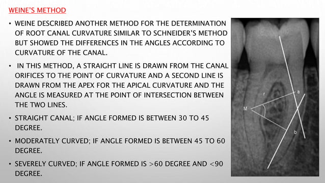 Canal curvatures and determination method final | PPTX