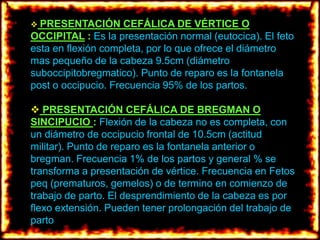 Canal del parto . | PPT