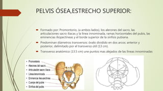 Canal de parto y movil fetal | PPTX
