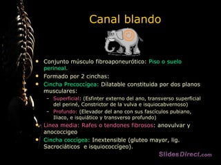 Canal de parto y móvil fetal | PPT