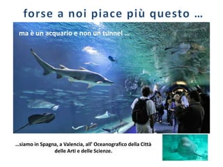 il Canale della manica | PPTX
