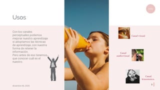 Canales perceptuales | PDF