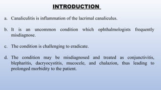 Disease of canaliculus presentation.ppt canaliculitis | PPTX