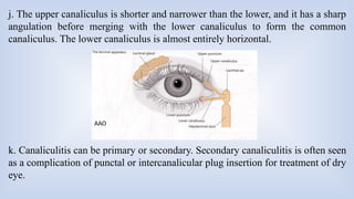 Disease of canaliculus presentation.ppt canaliculitis | PPTX