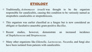 Disease of canaliculus presentation.ppt canaliculitis | PPTX