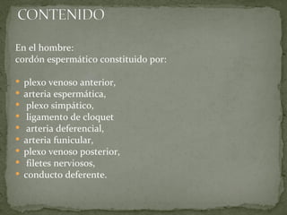 Canal inguinal | PPT