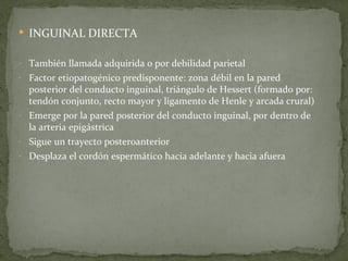 Canal inguinal | PPT