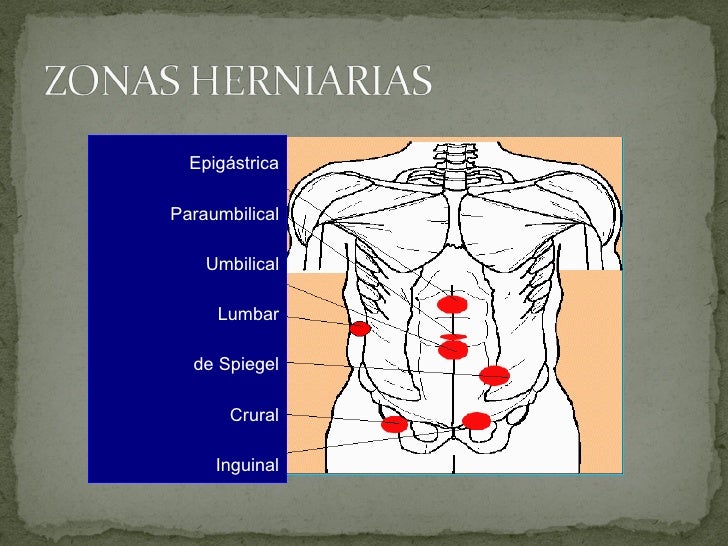 Canal inguinal