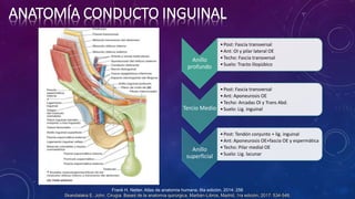 CANAL INGUINAL.pptx