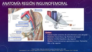 CANAL INGUINAL.pptx
