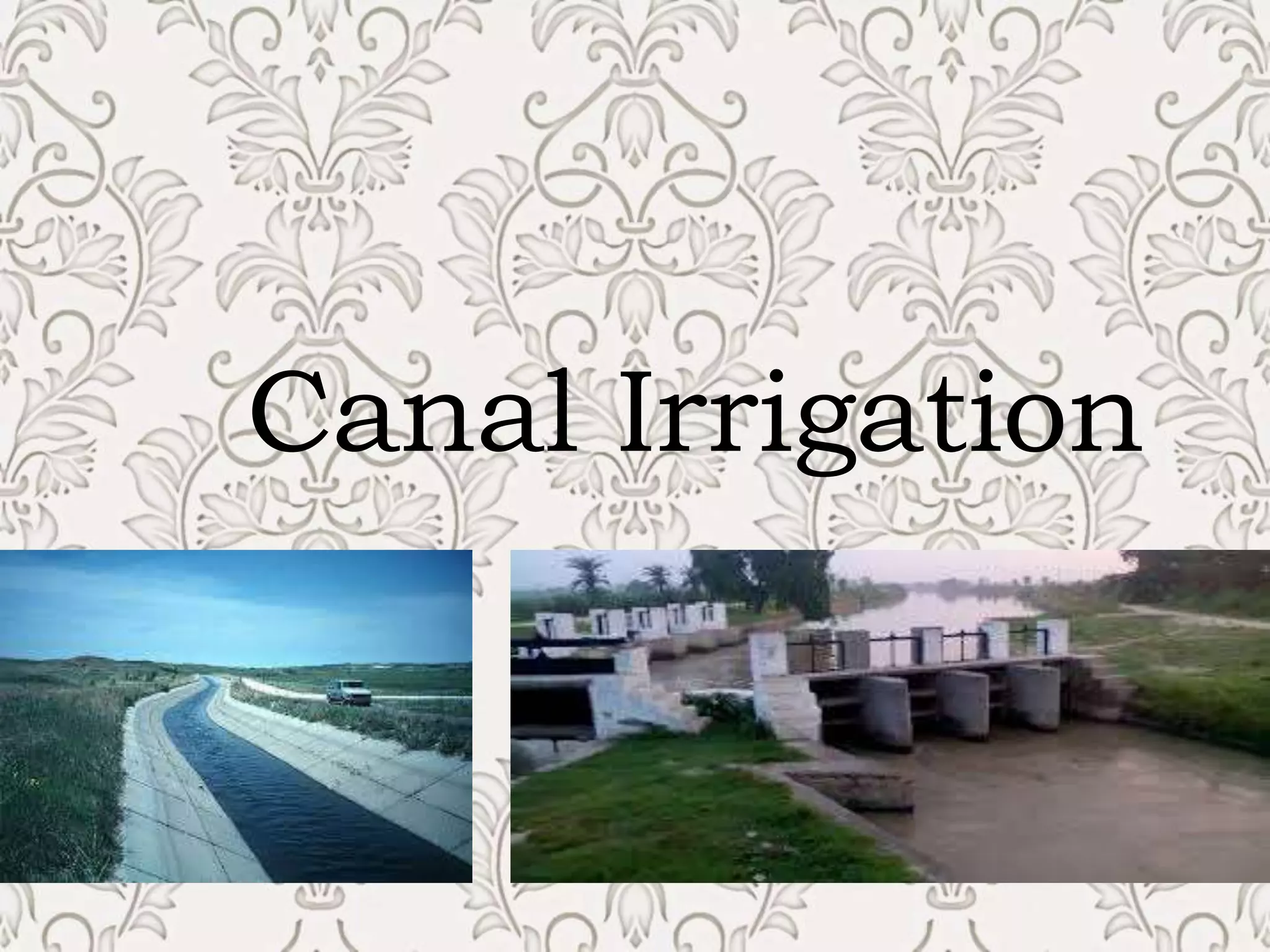 Canal irrigation (Mr. Kiran B. Mane) | PPTX | Geography | Science