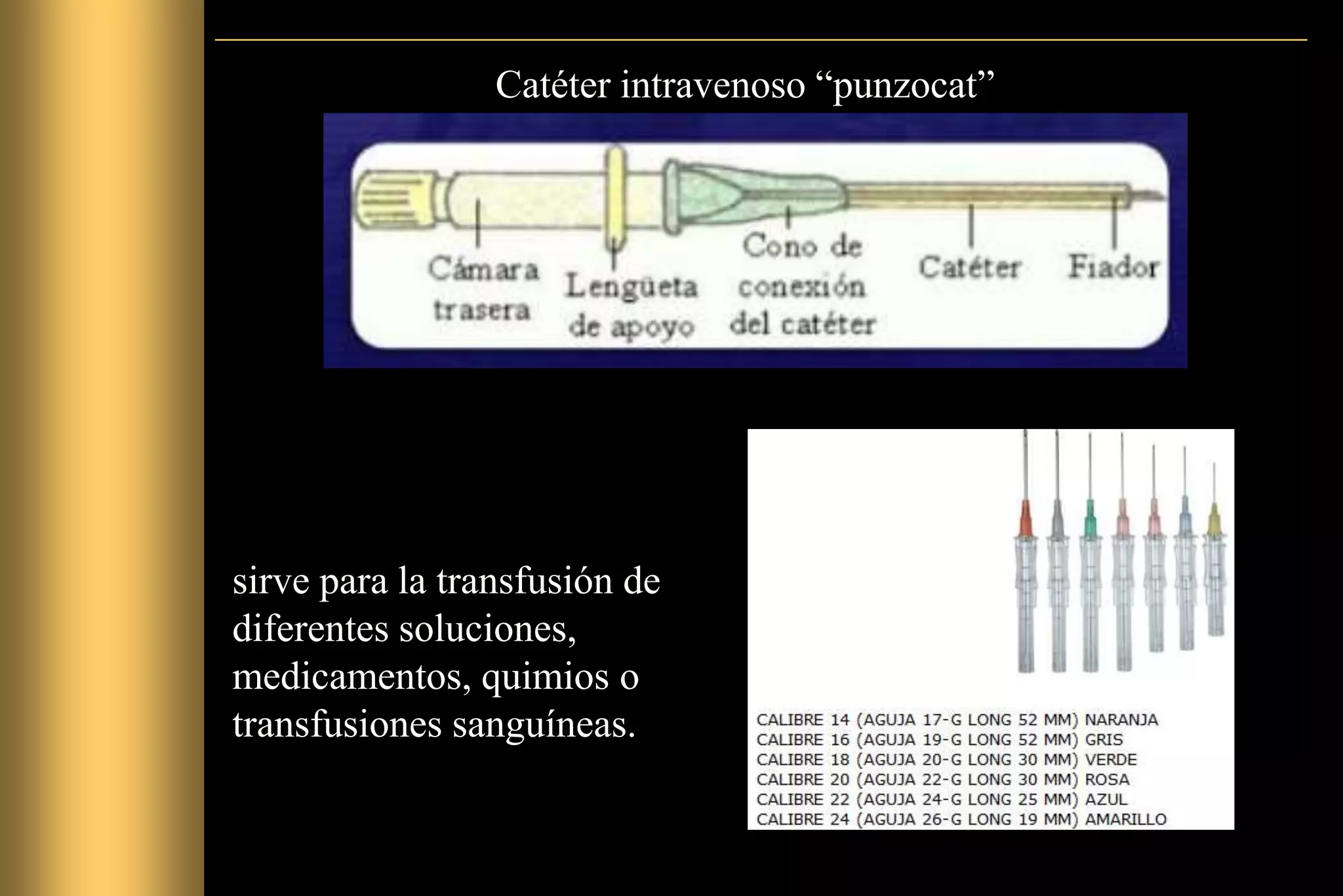 Canalización veterinaria | PPTX