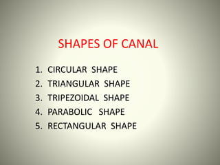 Canal of design | PPTX