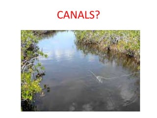 Canals | PPTX