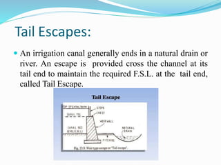 Canal structures | PPTX