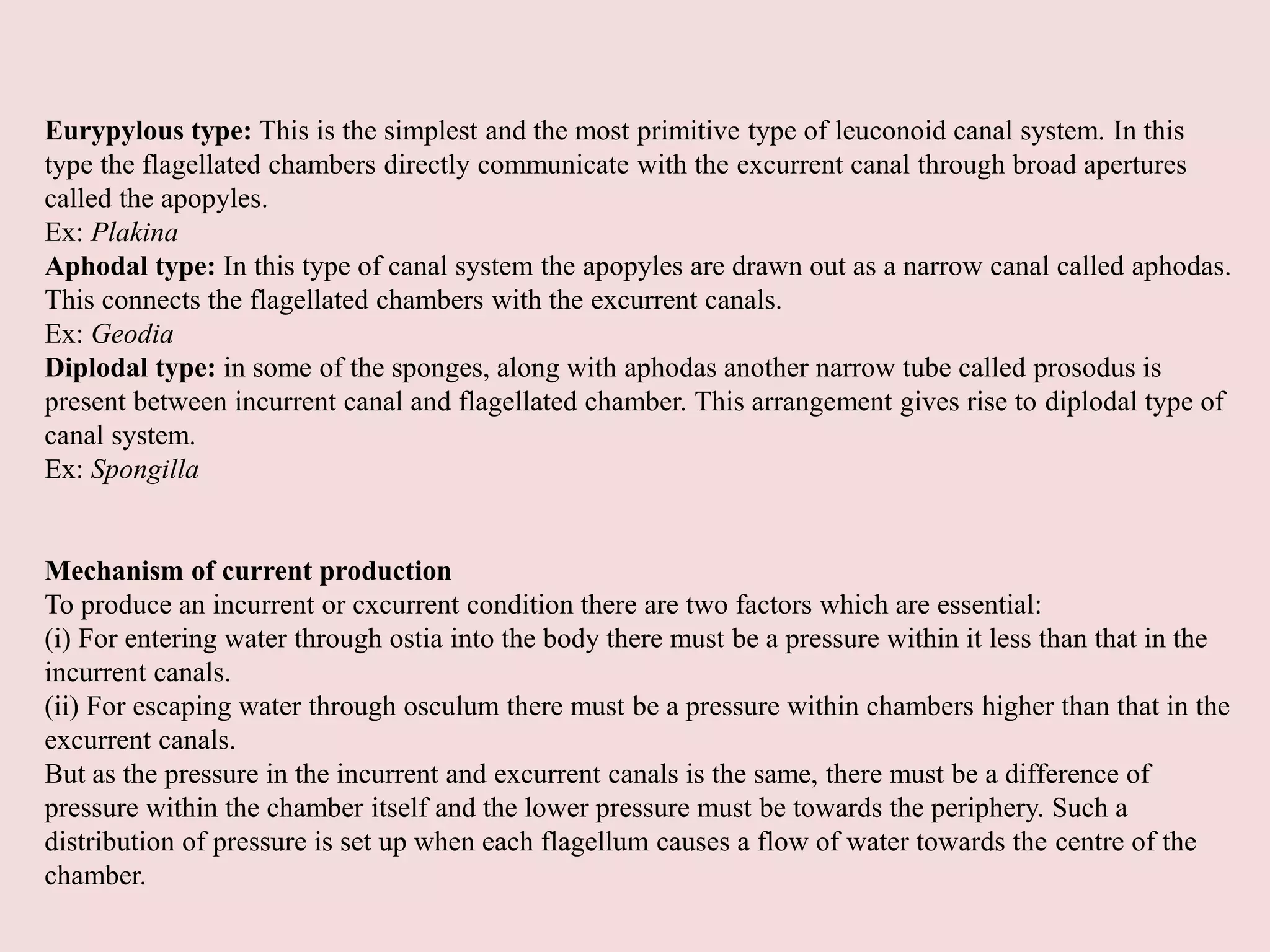 Canal system | PPTX | Chemistry | Science