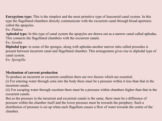 Canal system | PPTX | Chemistry | Science