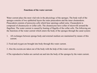 Canal system | PPTX | Chemistry | Science