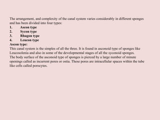 Canal system | PPTX | Chemistry | Science