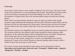 Canal system | PPTX | Chemistry | Science