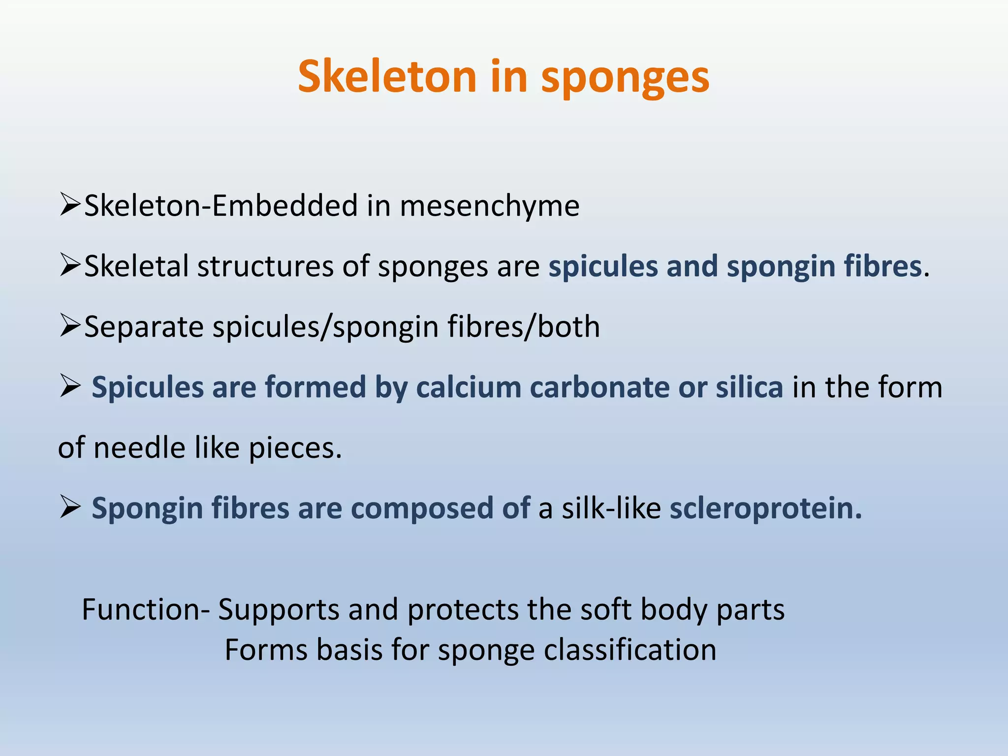 Canal system in sponges.pptx
