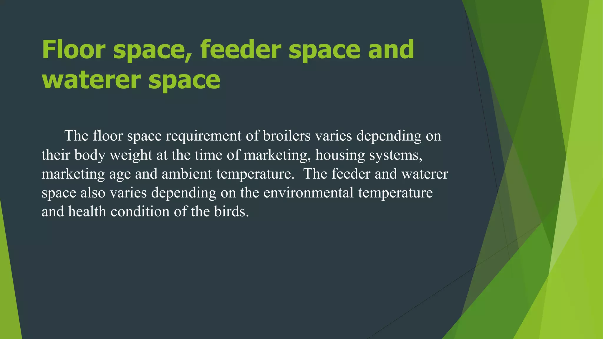 BROILER MANAGEMENT.pptx