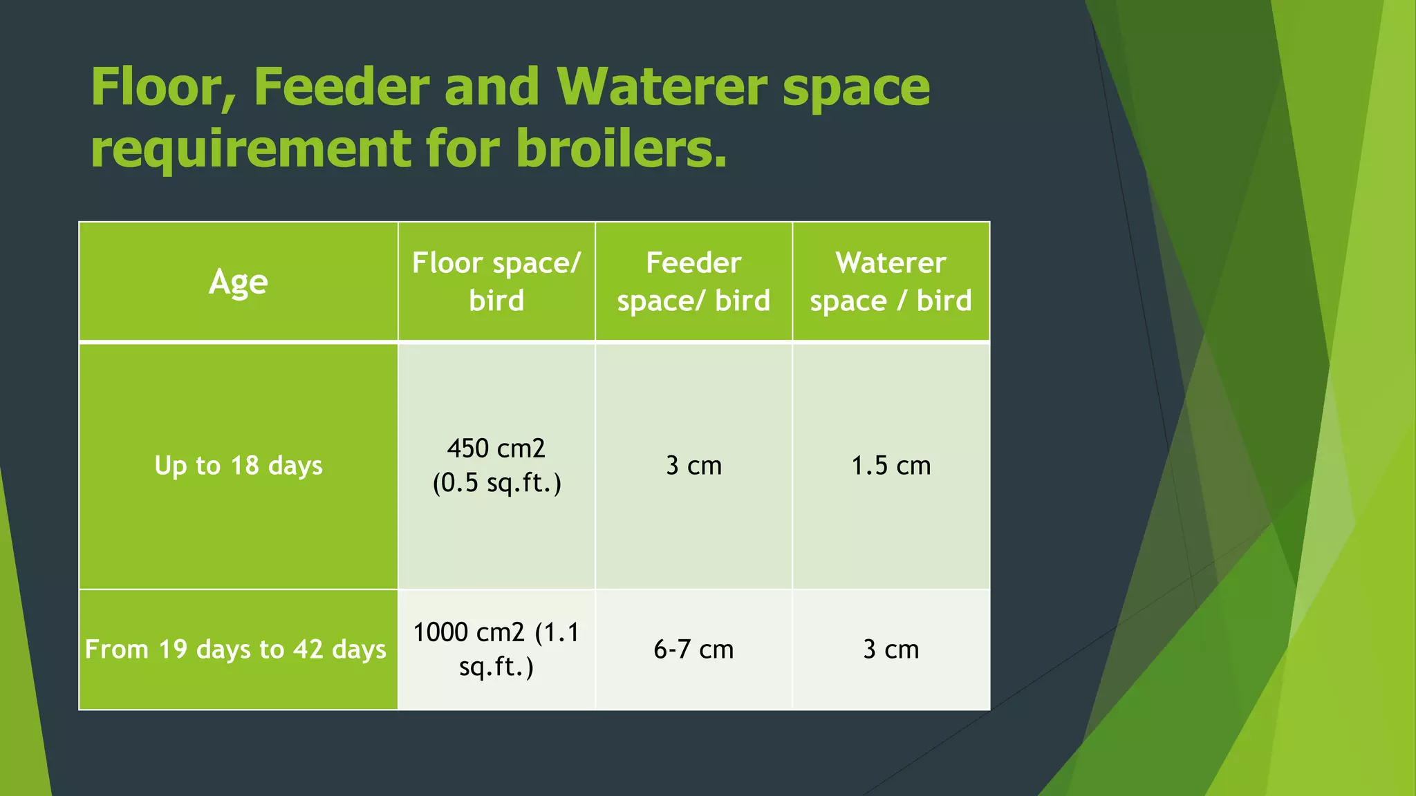 BROILER MANAGEMENT.pptx
