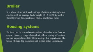 BROILER MANAGEMENT.pptx